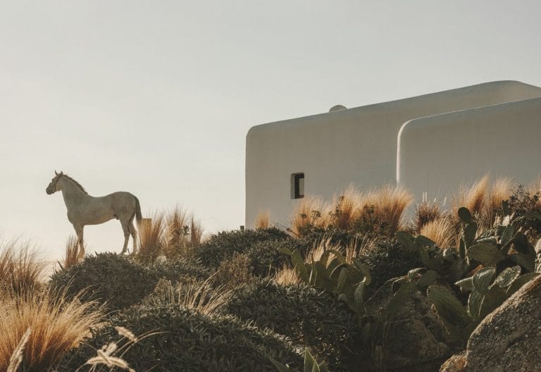 K-Studio | Architecture & Design Studio